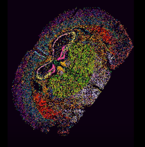 Curio Trekker Single-Cell Spatial Mapping Kit | GC biotech